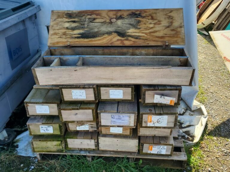 Nouveaux arrivages – La Chignole